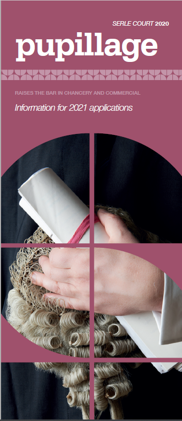 Mini-pupillage | Serle Court